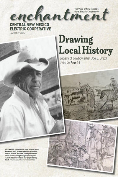 Home | Central New Mexico Electric Cooperative, Inc